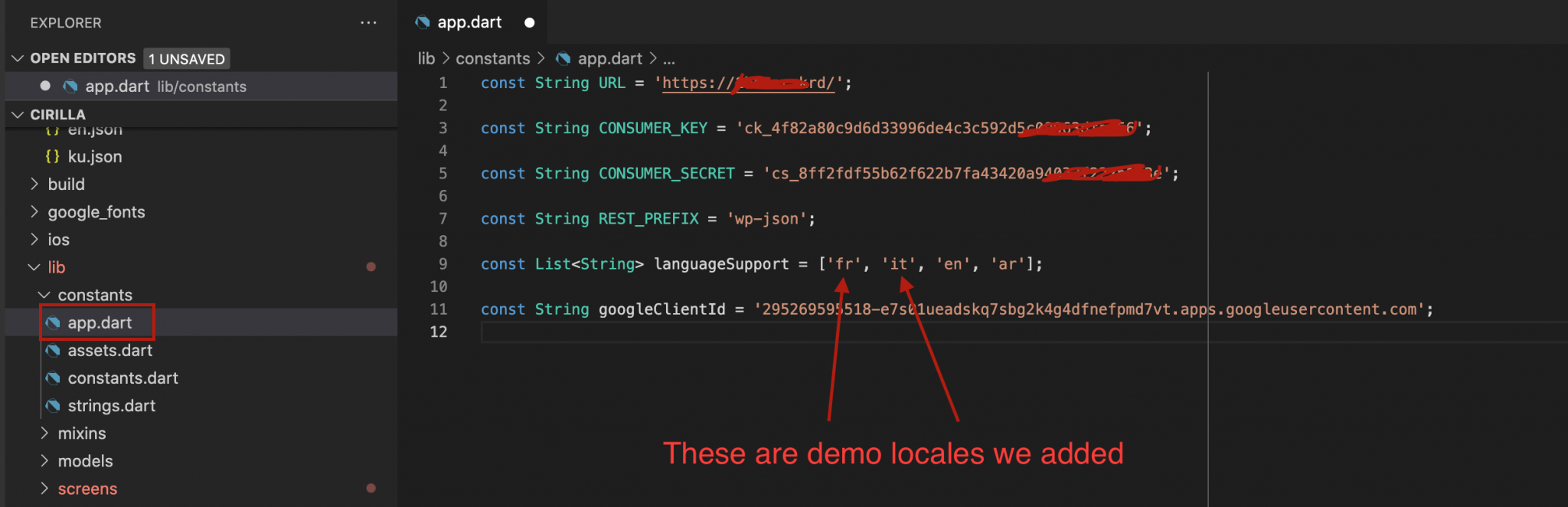 How to Build a Multi-Language App? – Appcheap